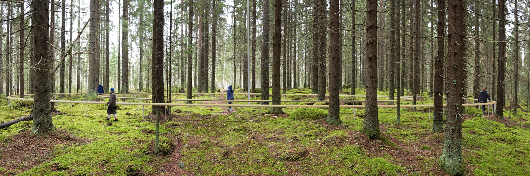 Studio Syn_ — Walking Circles